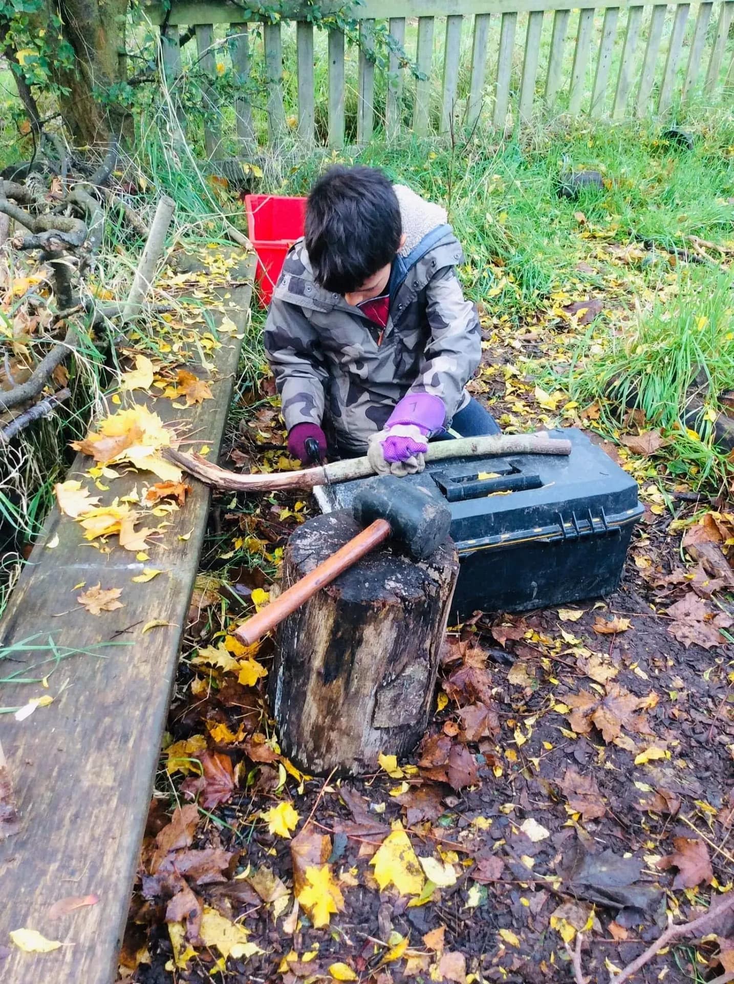 Forest School Leader Training: Worcestershire, Wiltshire & Oxfordshire ...